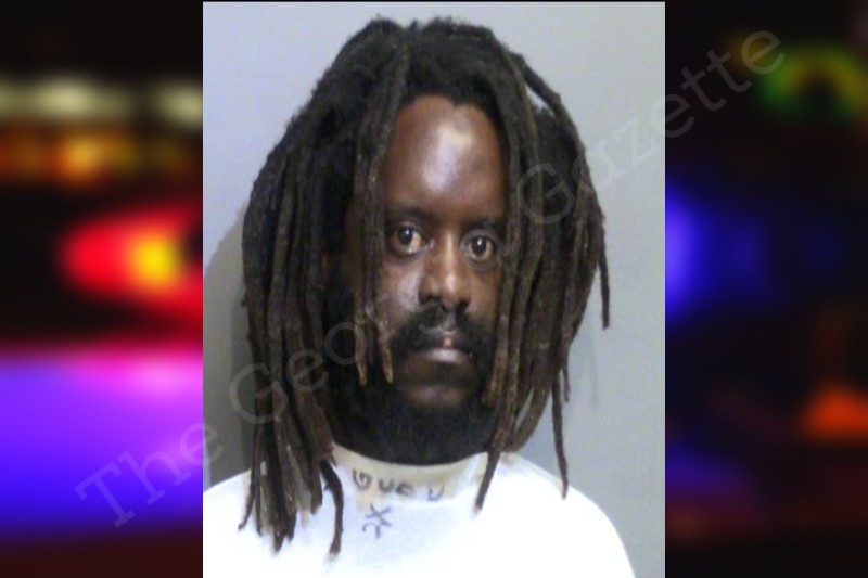 Ludwidge Louisma — Glynn County Jail Bookings