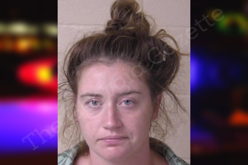 Alexanderia Lyle — Walker County Jail Bookings