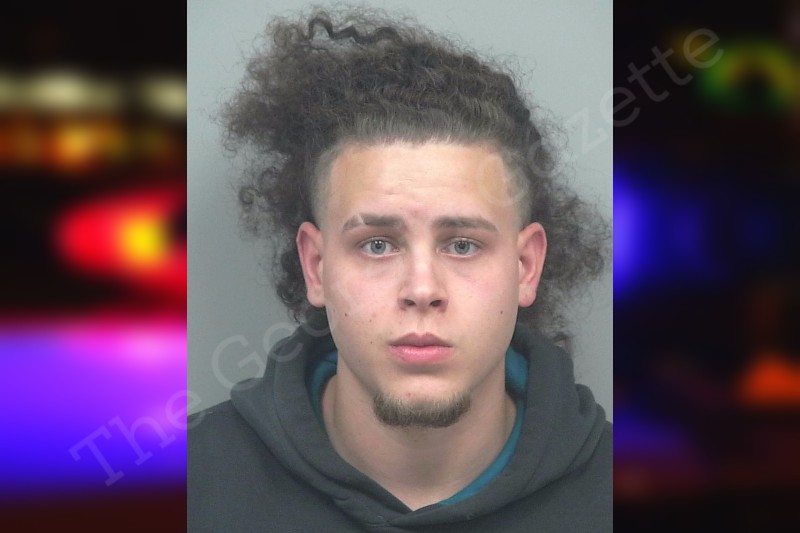 Angel Malave Otero — Gwinnett County Jail Bookings