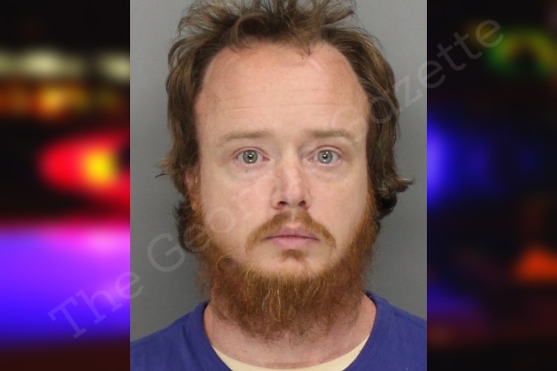 Mark Mayes — Cobb County Jail Bookings