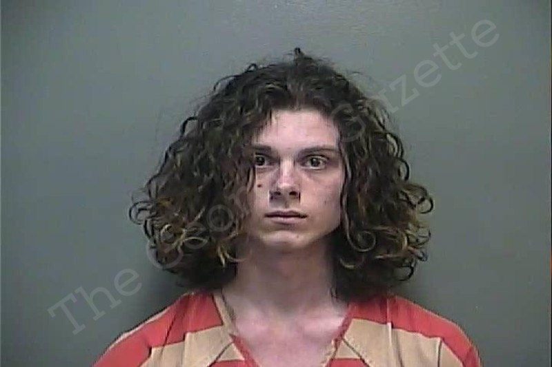 Asher McBee — White County Jail Bookings