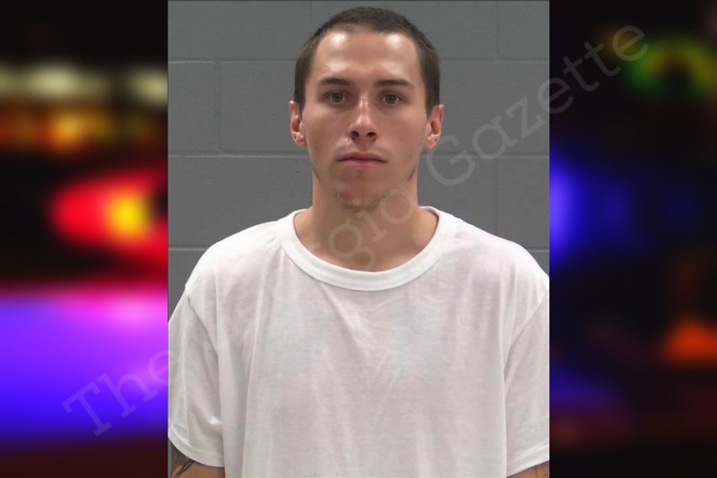 Bailey McDaniel — Baldwin County Jail Bookings