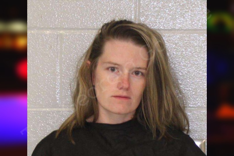 Brittney Mcgaha — Carroll County Jail Bookings