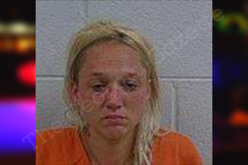 Tiffany McIntyre — Polk County Jail Bookings