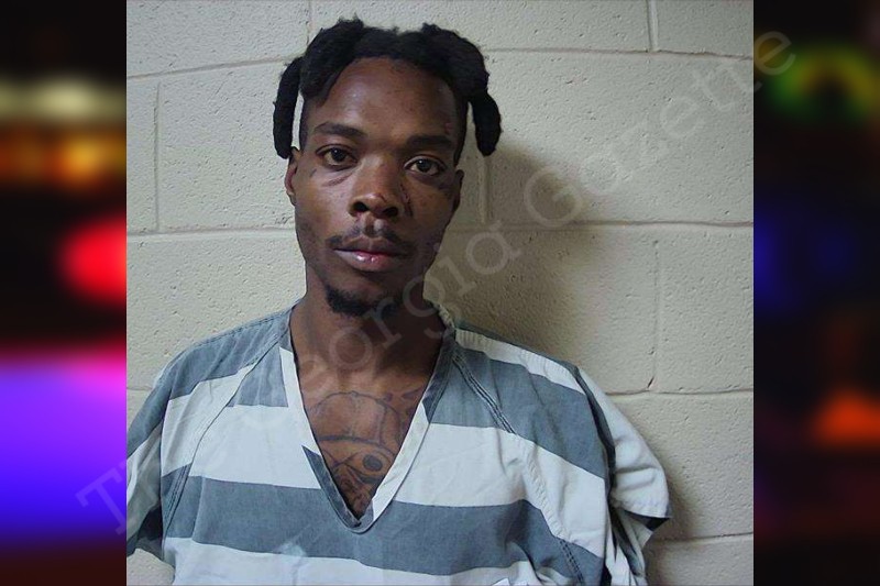 Alan McNeal — Evans County Jail Bookings