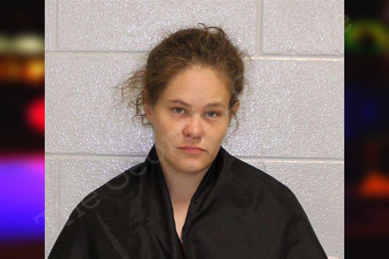 Nicole Morrow — Carroll County Jail Bookings