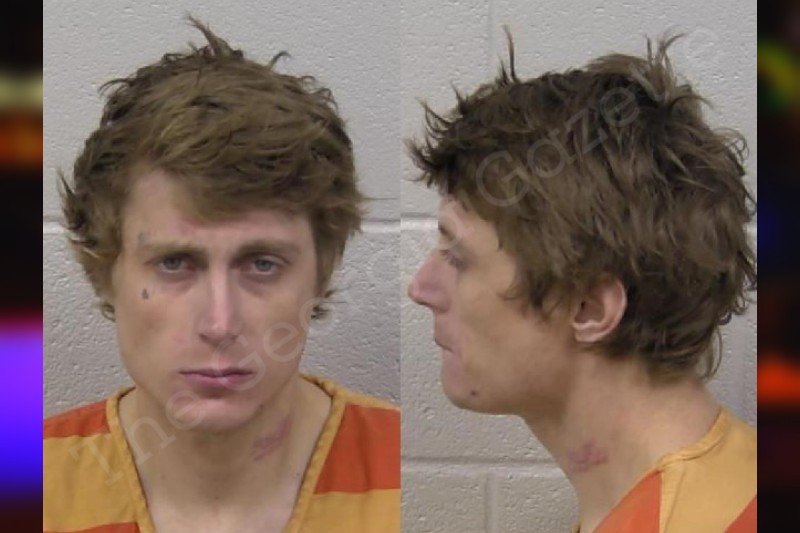 Steven McAdams — Paulding County Jail Bookings