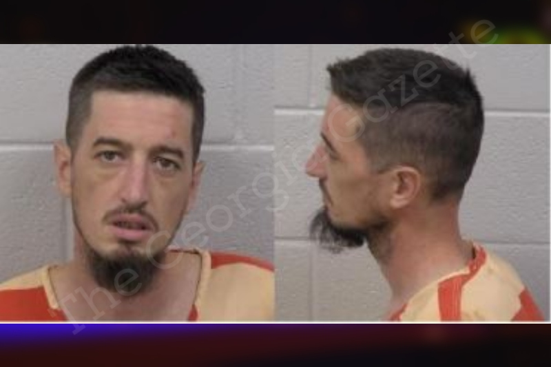 Anthony Minnick — Paulding County Jail Bookings