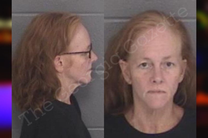 Stephanie Mitchell — Barrow County Jail Bookings