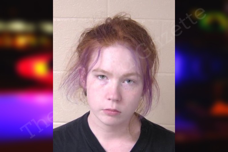 Hailey Morgan — Walker County Jail Bookings