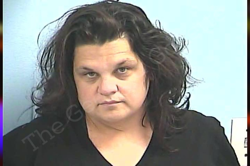 Michelle Morton — Dawson County Jail Bookings