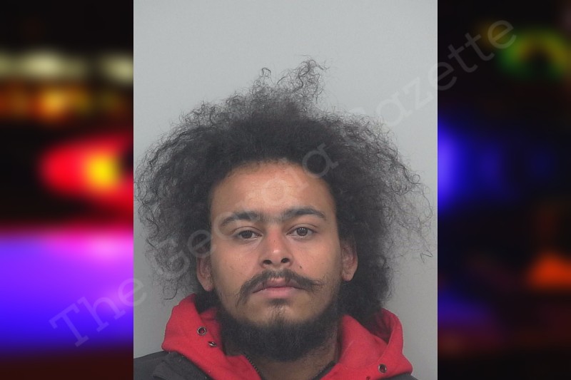 Alexander Narey — Gwinnett County Jail Bookings