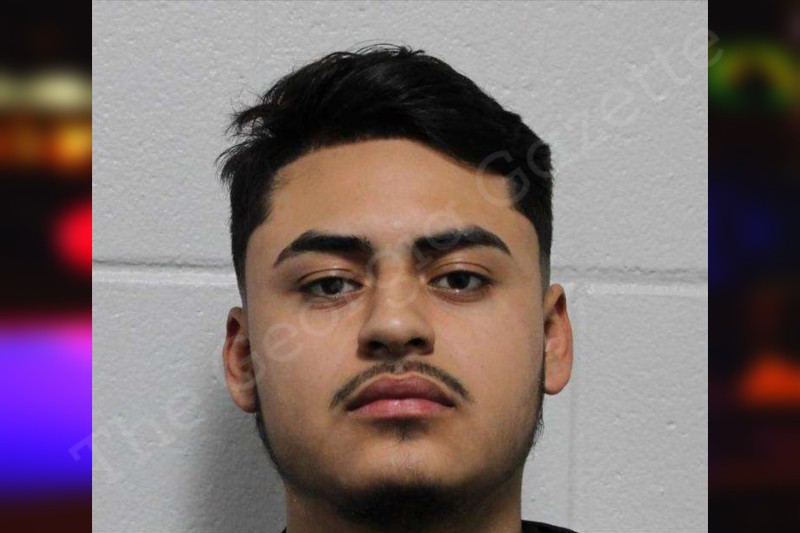 Alan Ortiz-Gallegos — Habersham County Jail Bookings