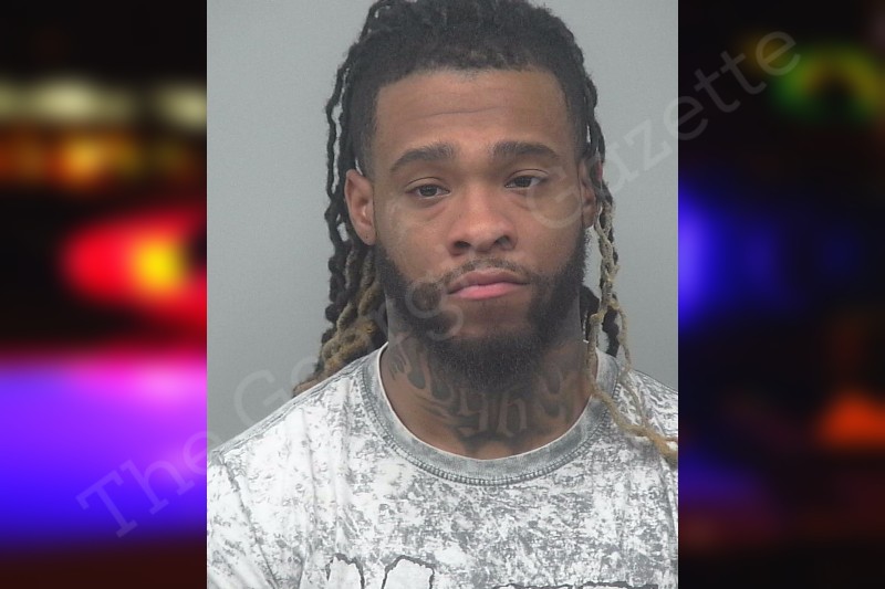 Christian Palmer — Gwinnett County Jail Bookings