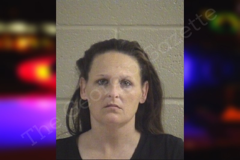 Pamela Denney — Whitfield County Jail Bookings