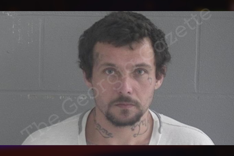 Jacob Pitzer — Brantley County Jail Bookings