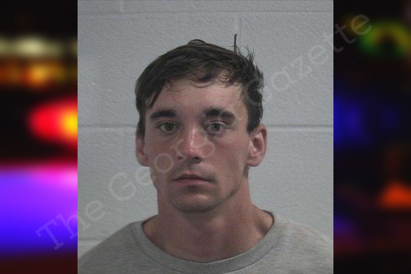 Devin Reese — McDuffie County Jail Bookings