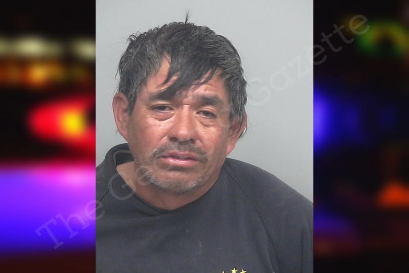 Edgar Rodriguez Rodriguez — Gwinnett County Jail Bookings