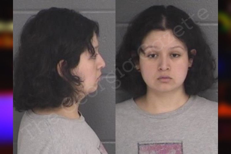 Stephanie Ramirez-Lopez — Barrow County Jail Bookings