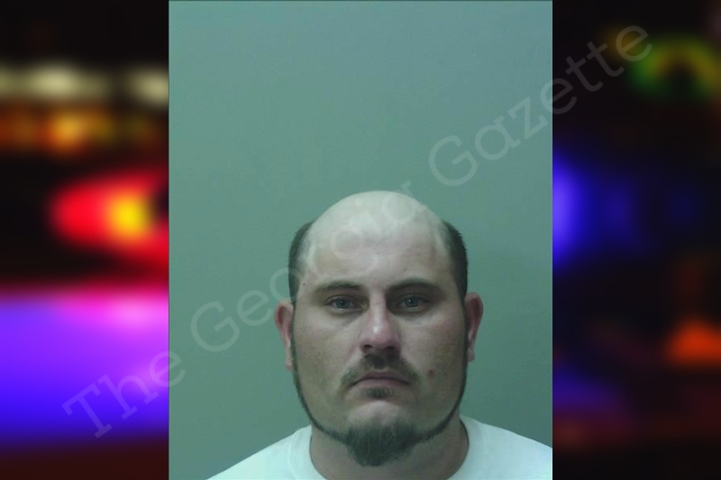 Travis Reece — Towns County Jail Bookings