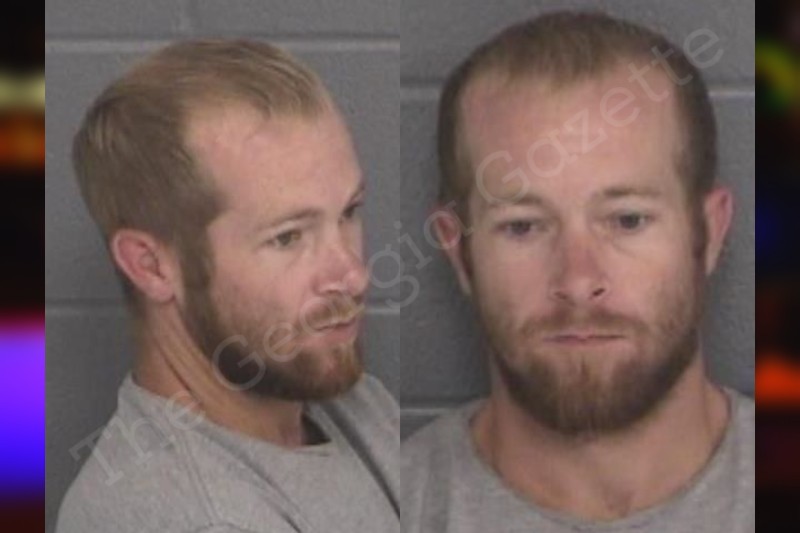 Shane Reese — Barrow County Jail Bookings