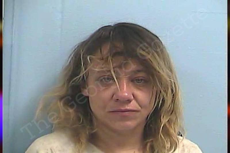 Amy Riddle — Dawson County Jail Bookings
