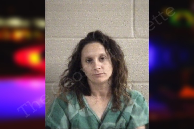 Robin Maly — Whitfield County Jail Bookings