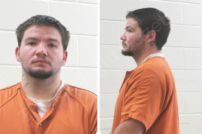 Michael Ross — Houston County Jail Bookings