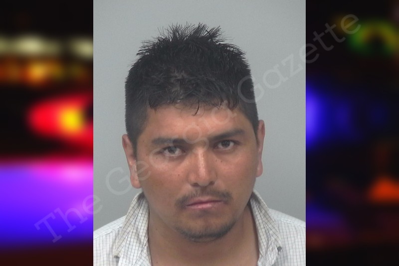 Leonel Salinas Salinas — Gwinnett County Jail Bookings