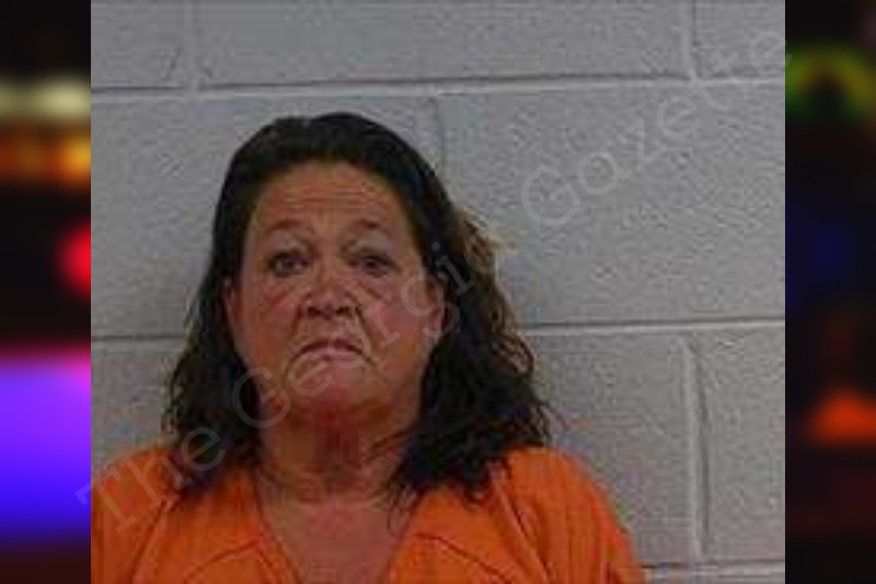 Debbie Shaw — Polk County Jail Bookings