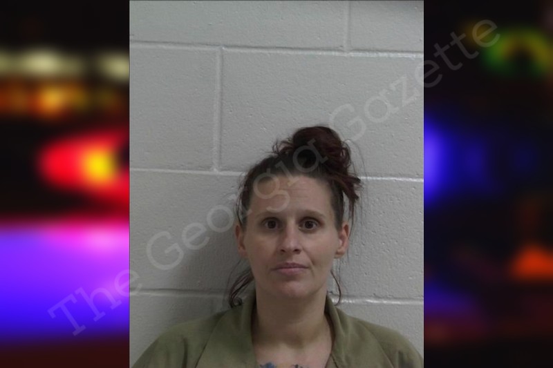 Amber Sims — Decatur County Jail Bookings
