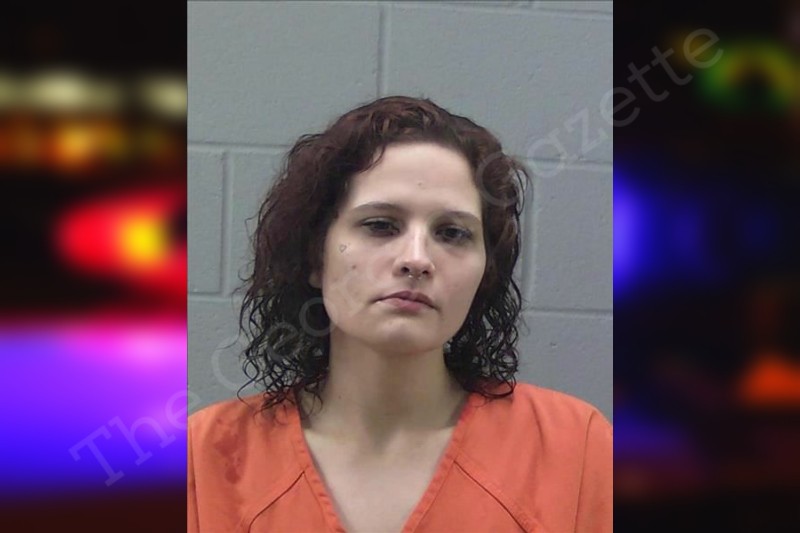 Ashley Smith — Madison County Jail Bookings