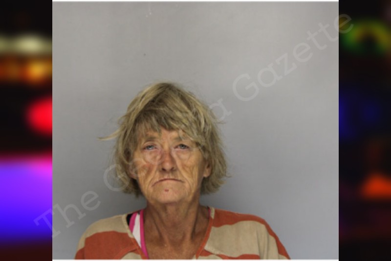 Rosa Smith — Hall County Jail Bookings
