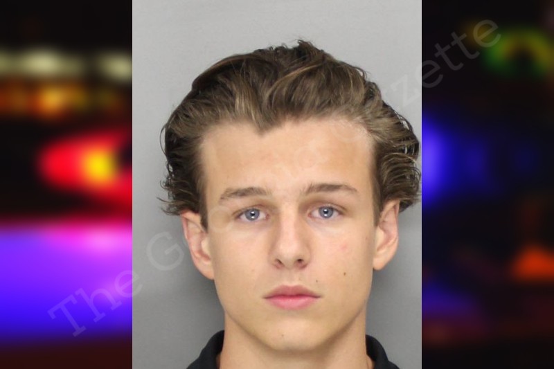 Cole Steiner — Cobb County Jail Bookings