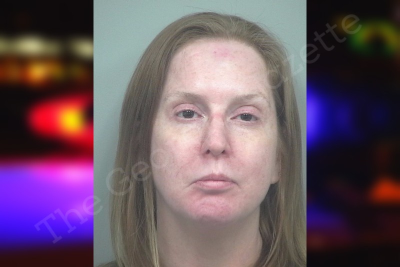 Elizabeth Sullivan — Gwinnett County Jail Bookings