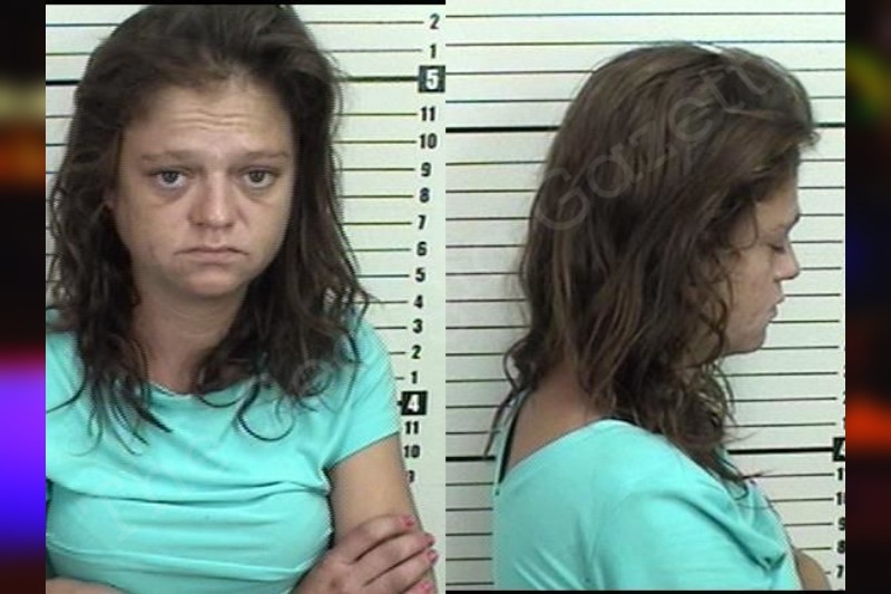 Amber Skinner — Camden County Jail Bookings