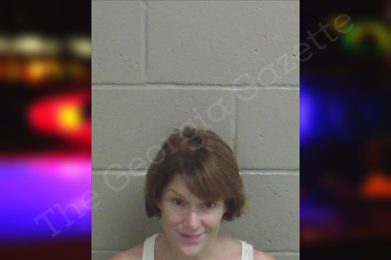 Laurie Slaton — Wayne County Jail Bookings