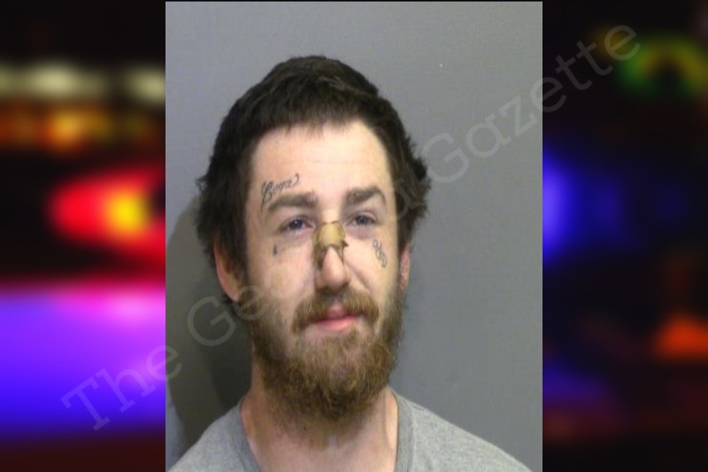 Timothy Spikes — Glynn County Jail Bookings