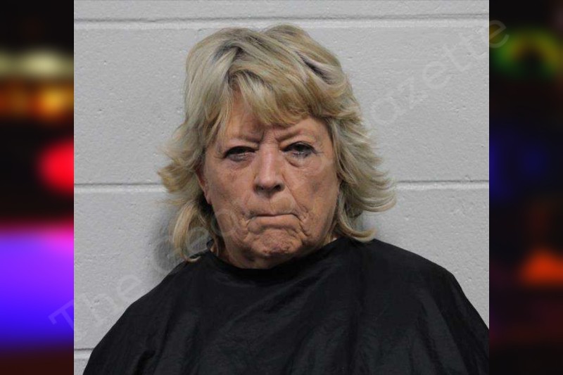 Vicky Thomason — Habersham County Jail Bookings