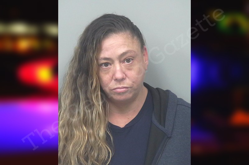 Teresa Toth — Gwinnett County Jail Bookings