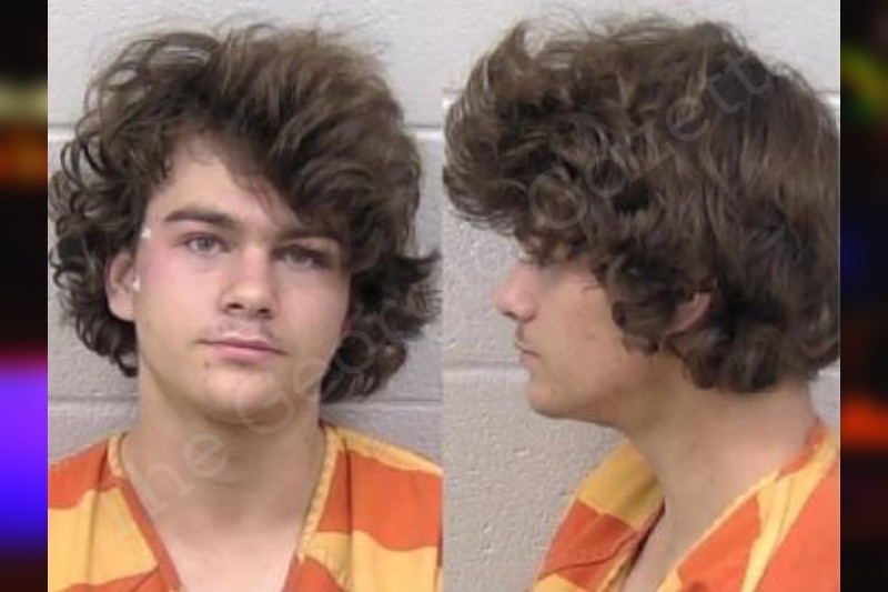 Joshua Taylor — Paulding County Jail Bookings