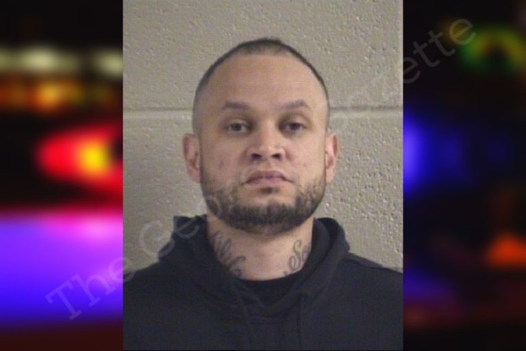 Angel Torres-Rivera — Whitfield County Jail Bookings