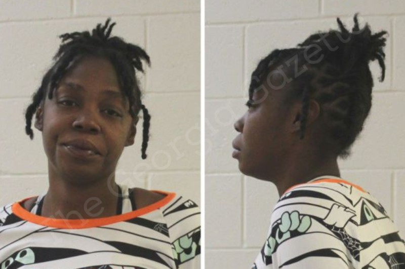 Tabitha Turner — Houston County Jail Bookings
