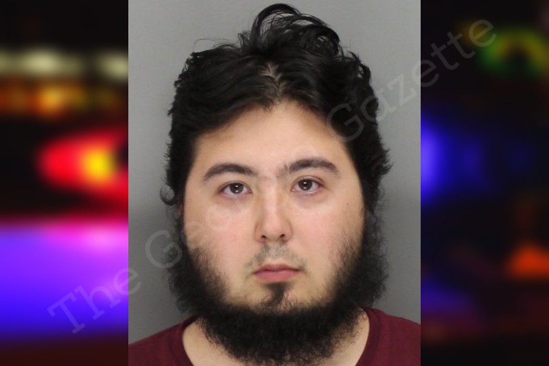 Ethan Venditto — Cobb County Jail Bookings