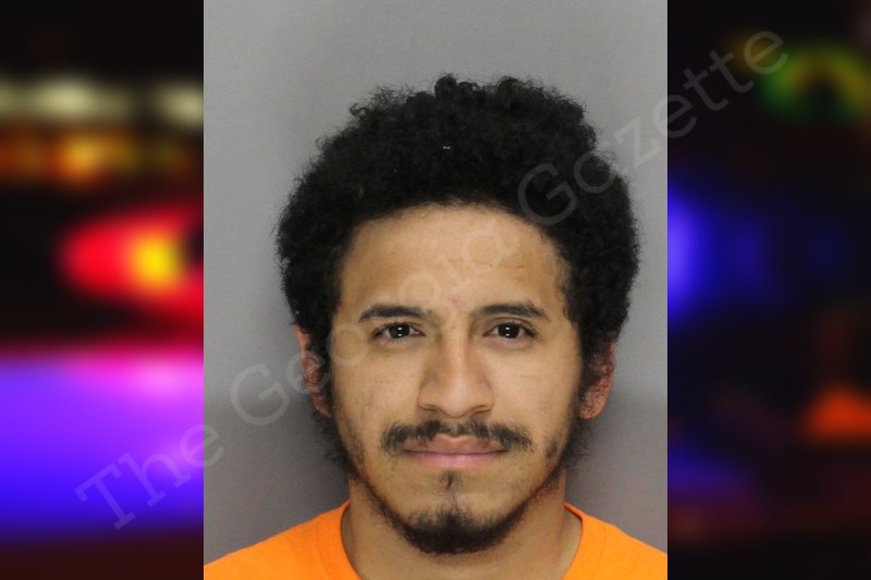 David Vides — Cobb County Jail Bookings