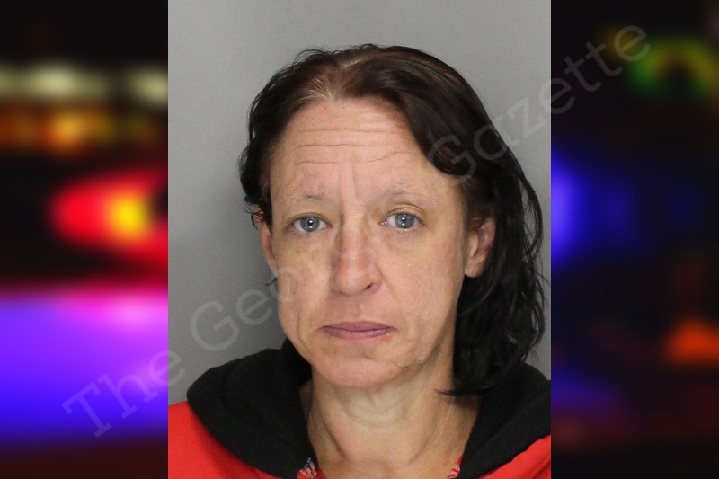 Jamie Vincent — Cobb County Jail Bookings