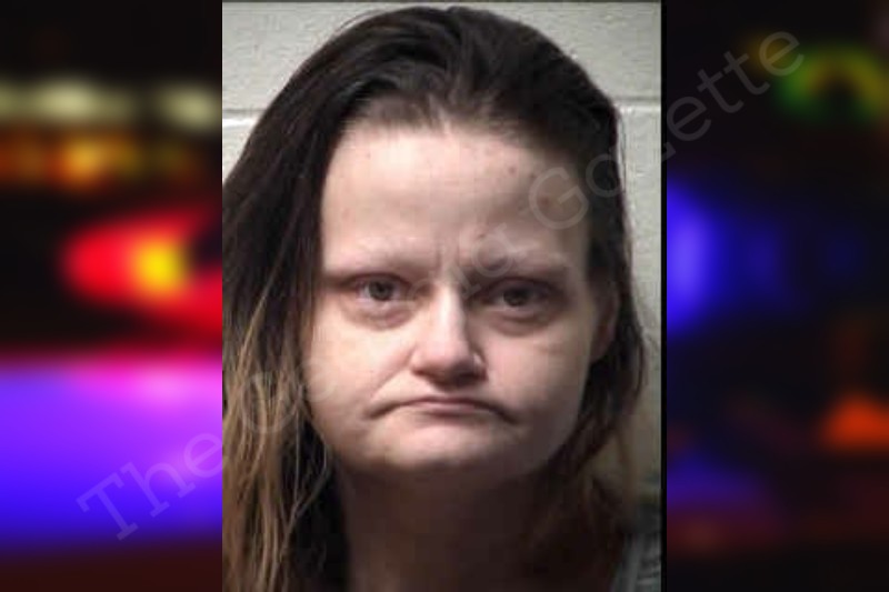 Jennifer Weems — Henry County Jail Bookings