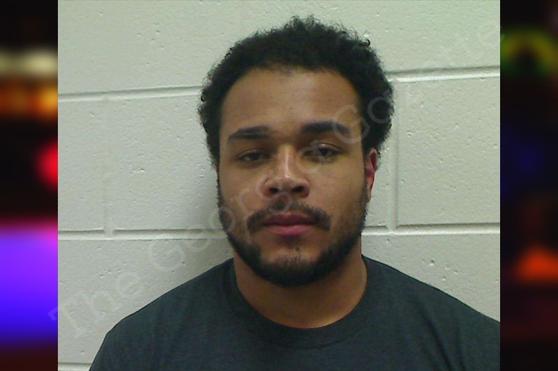 William Wilson — Bulloch County Jail Bookings