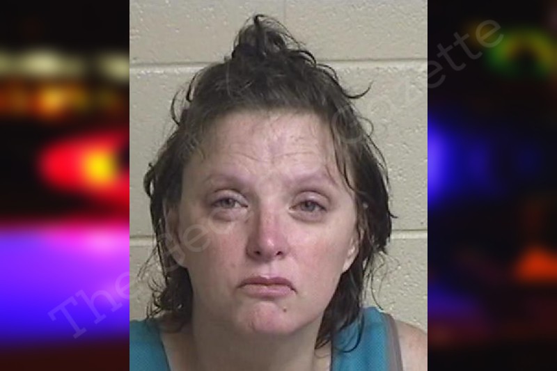 Yolanda Walker — Walker County Jail Bookings