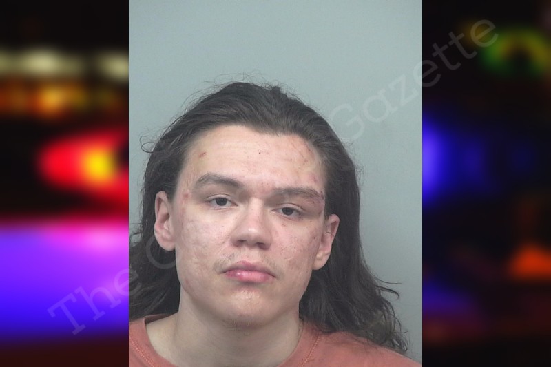 Sebastian Arango — Gwinnett County Jail Bookings Sebastian Arango — Gwinnett County Jail Bookings